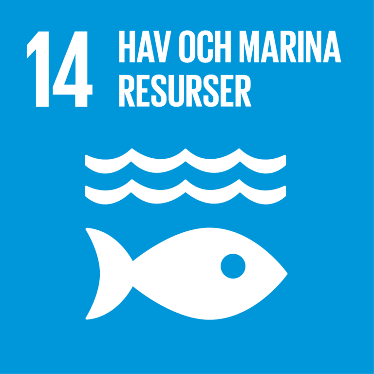 Globala, regionala och lokala målen: En presentation av Agenda 2030 ... Globala, regionala och lokala målen: En presentation av Agenda 2030 ...