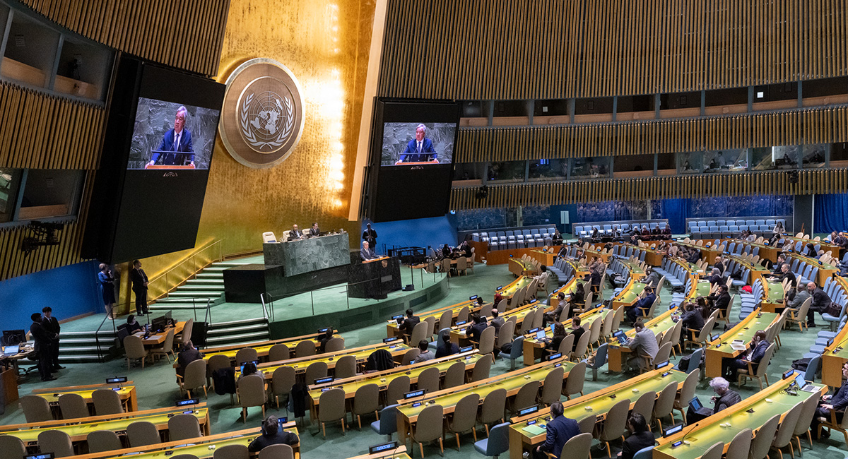 FN-dagen 2024: Ställ krav på medlemsländerna - Svenska FN-förbundet